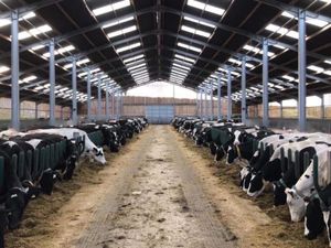 Farming For Sale in Donegal | DoneDeal