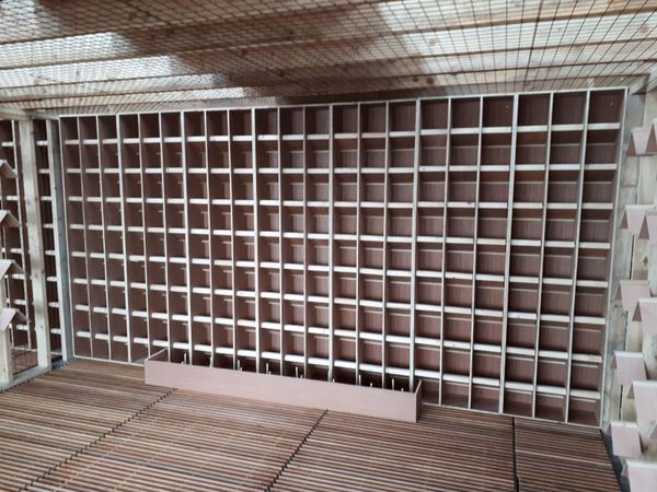 Pigeon boxes and perches for sale in Co. Wexford for €100 on DoneDeal