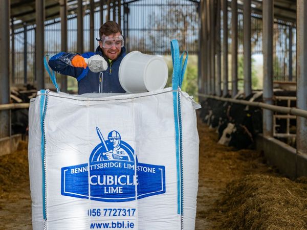 Bennettsbridge Limestone Hydrated Cubicle Lime for sale in Co. Kilkenny ...