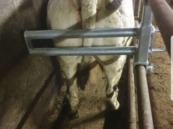 Anti Backing Bars/Headscoops/Hoof Hoists for Crush for sale in Co ...