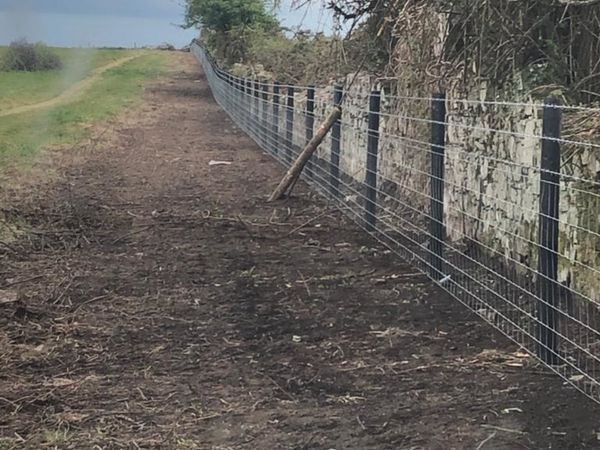 Best Selection of AGRI fencing Supplies Ireland for sale in Co ...