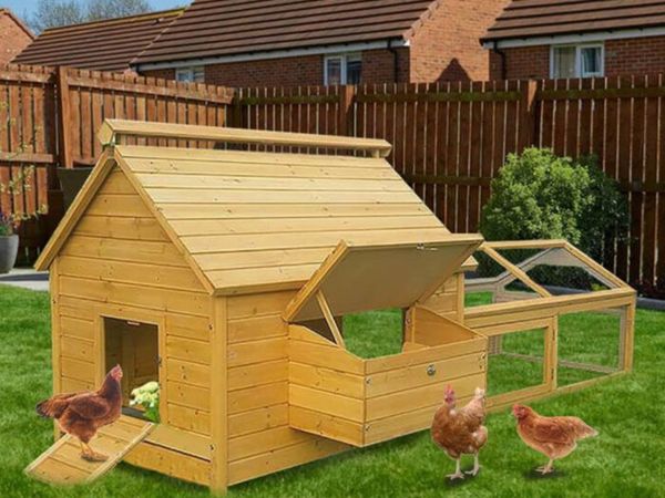 chicken coop hen house | 110 All Sections Ads For Sale in Ireland ...