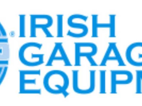 PACINI Multi-Tyre Changer Manual Type for sale in Co. Dublin for €129 ...