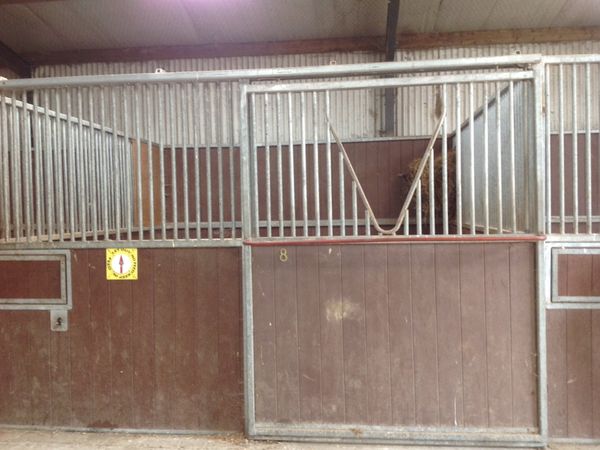 Equine Ads For Sale in Ireland | DoneDeal