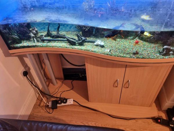 fish tanks | 236 All Sections Ads For Sale in Ireland | DoneDeal