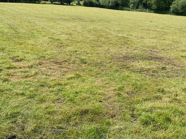 Topper grasstopper grass topper wylie mulcher new for sale in Co ...