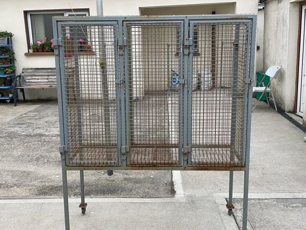 ferrets | 38 All Sections Ads For Sale in Ireland | DoneDeal