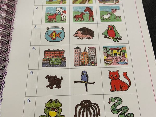 primary-school-assessment-kit-for-sale-in-dublin-for-15-on-donedeal