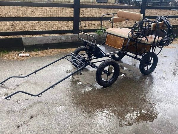 shetland pony | 15 All Sections Ads For Sale in Ireland | DoneDeal