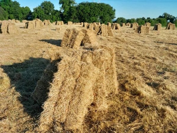 small square balers | 1,171 All Sections Ads For Sale in Ireland | DoneDeal