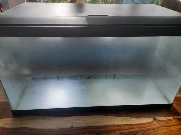 fish tanks | 233 All Sections Ads For Sale in Ireland | DoneDeal