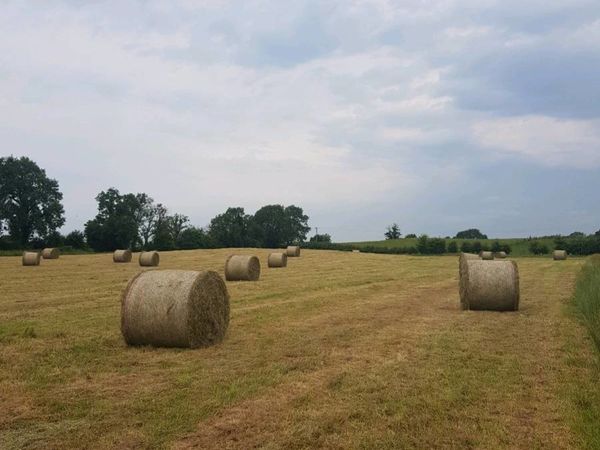 All Sections Ads For Sale in Ireland | DoneDeal