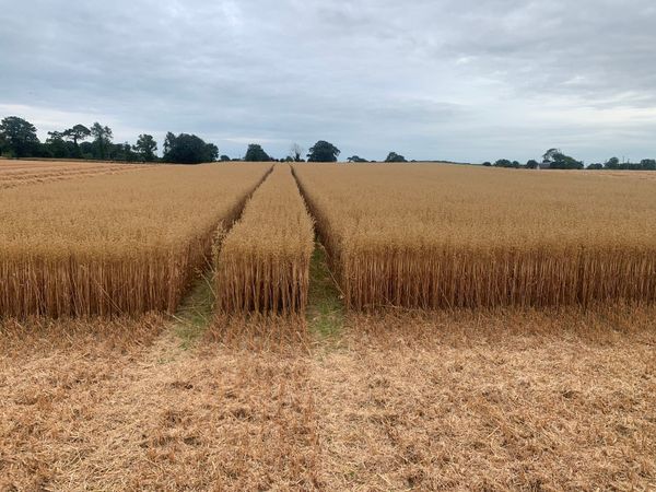 Silage Wrappers Ads For Sale in Ireland | DoneDeal