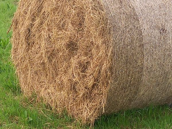 hay | 3,060 All Sections Ads For Sale in Ireland | DoneDeal