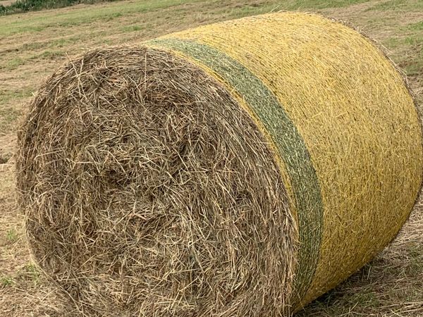 hay | 3,237 All Sections Ads For Sale in Ireland | DoneDeal