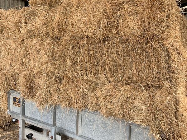 small square balers | 1,110 All Sections Ads For Sale in Ireland | DoneDeal