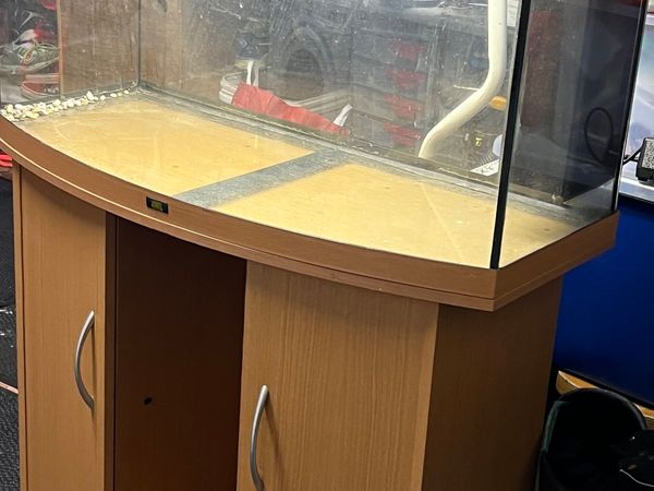 Fish Ads For Sale in Ireland | DoneDeal