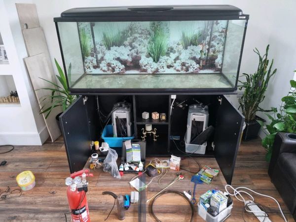 Fish Ads For Sale in Ireland | DoneDeal