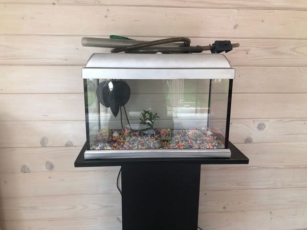 Fish Ads For Sale in Ireland | DoneDeal