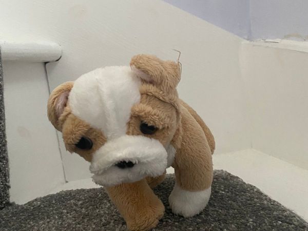 dogs and puppies | 934 All Sections Ads For Sale in Ireland | DoneDeal