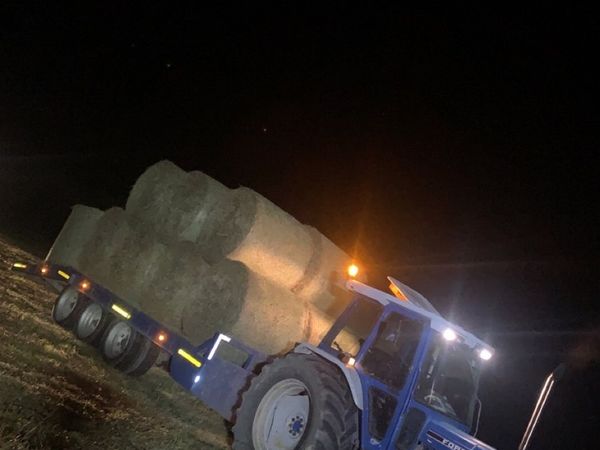 Farming Ads For Sale in Kerry | DoneDeal