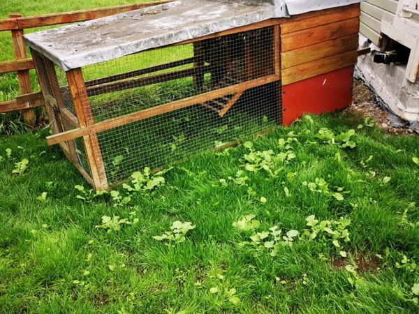 Poultry Ads For Sale in Ireland | DoneDeal