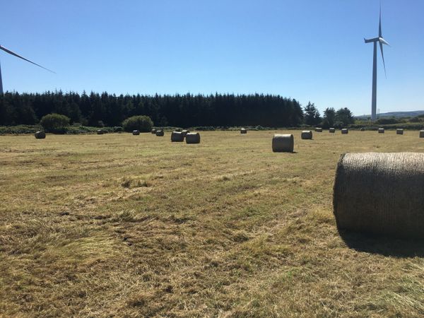 Farming Ads For Sale in Kerry | DoneDeal