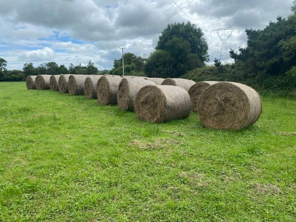 hay | 3,237 All Sections Ads For Sale in Ireland | DoneDeal