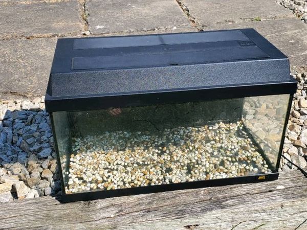 fish tanks | 236 All Sections Ads For Sale in Ireland | DoneDeal
