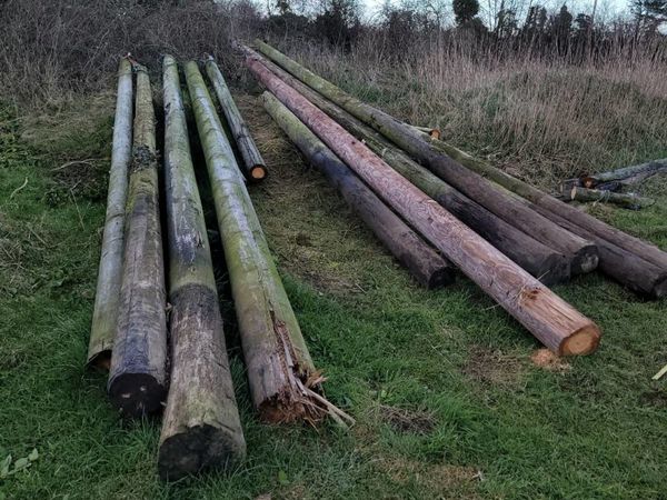esb poles for sale | 146 All Sections Ads For Sale in Ireland | DoneDeal