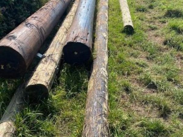 esb poles for sale | 139 All Sections Ads For Sale in Ireland | DoneDeal