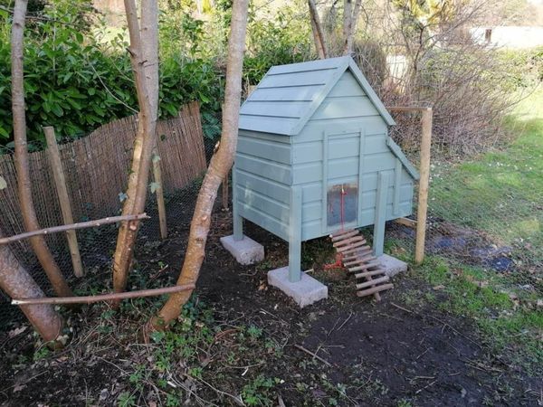 chicken coop | 173 All Sections Ads For Sale in Ireland | DoneDeal