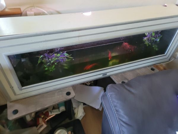 fish tanks | 219 All Sections Ads For Sale in Ireland | DoneDeal