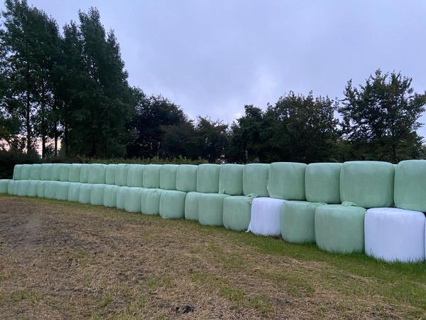 silage bales for sale | 1,882 All Sections Ads For Sale in Ireland ...