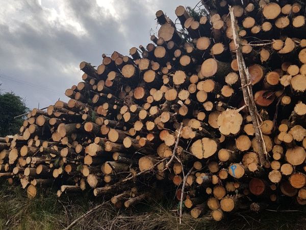 firewood Logs artic loads for sale in Galway for €123,456 on DoneDeal