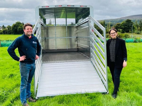 M Tec Livestock Trailers 12 X 6ft for sale in Co. Offaly for €0 on DoneDeal