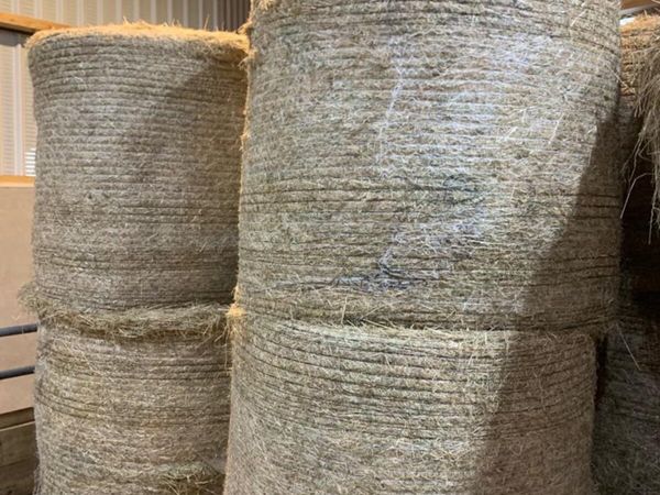 hay | 1,786 All Sections Ads For Sale in Ireland | DoneDeal