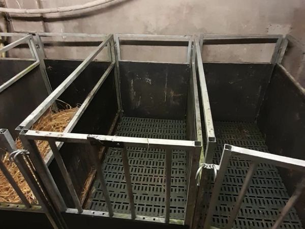 calf slats | 21 All Sections Ads For Sale in Ireland | DoneDeal