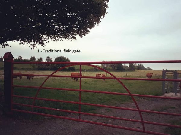 old farm gates | 523 All Sections Ads For Sale in Ireland | DoneDeal
