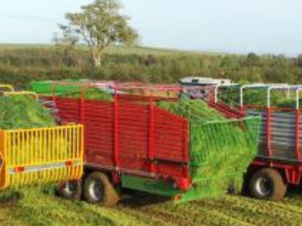 zero grazer | 24 All Sections Ads For Sale in Ireland | DoneDeal