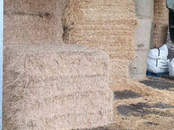 hay | 2,234 All Sections Ads For Sale in Ireland | DoneDeal