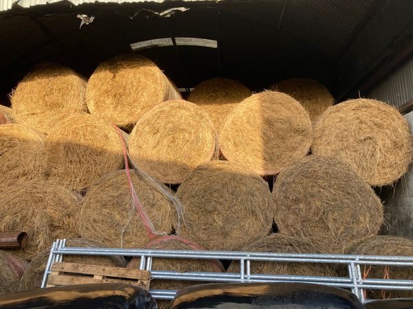 hay | 1,269 Farming Ads For Sale in Ireland | DoneDeal