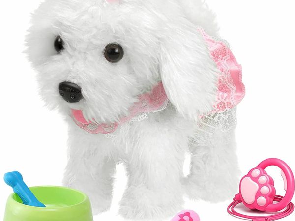 dogs and puppies | 957 All Sections Ads For Sale in Ireland | DoneDeal