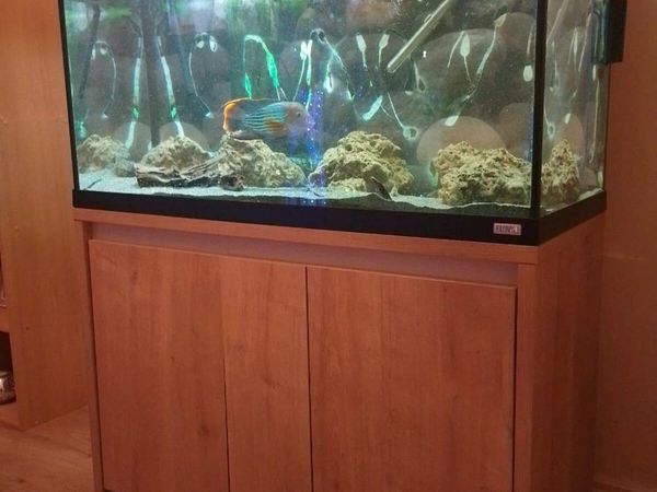 Fish Ads For Sale in Ireland | DoneDeal
