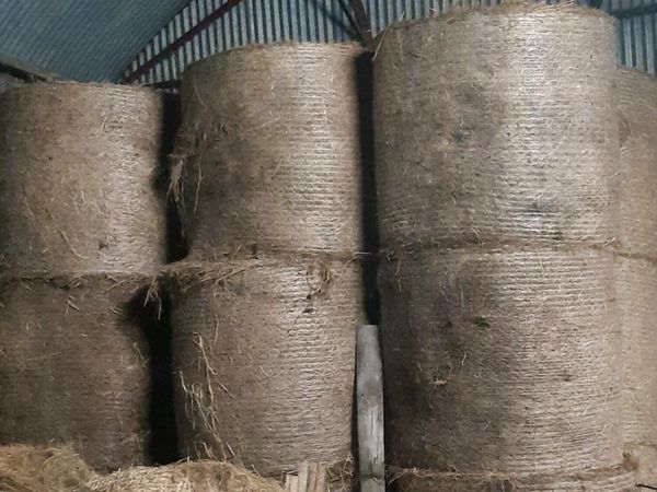 hay | 2,234 All Sections Ads For Sale in Ireland | DoneDeal