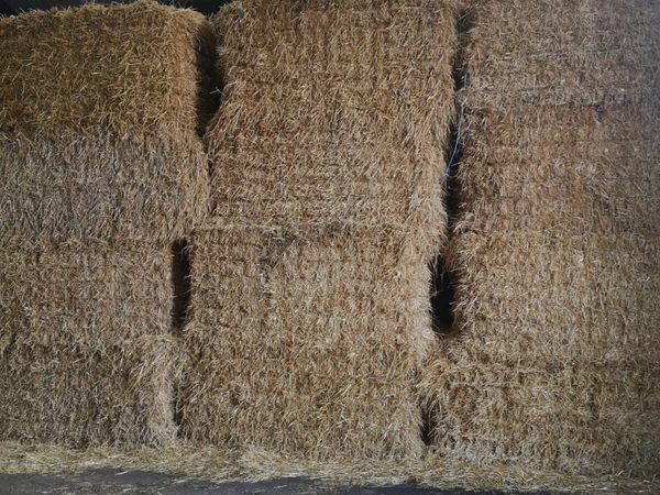 hay | 2,234 All Sections Ads For Sale in Ireland | DoneDeal