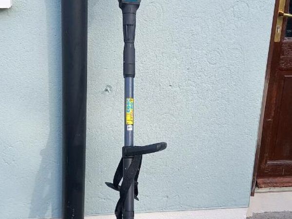 ferrets | 11 All Sections Ads For Sale in Ireland | DoneDeal