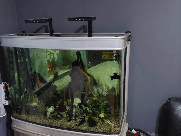 300 litre fish tank | 81 All Sections Ads For Sale in Ireland | DoneDeal
