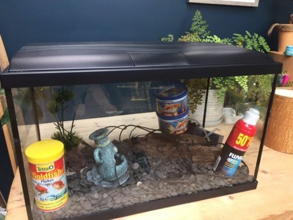 fish tank | 239 All Sections Ads For Sale in Ireland | DoneDeal