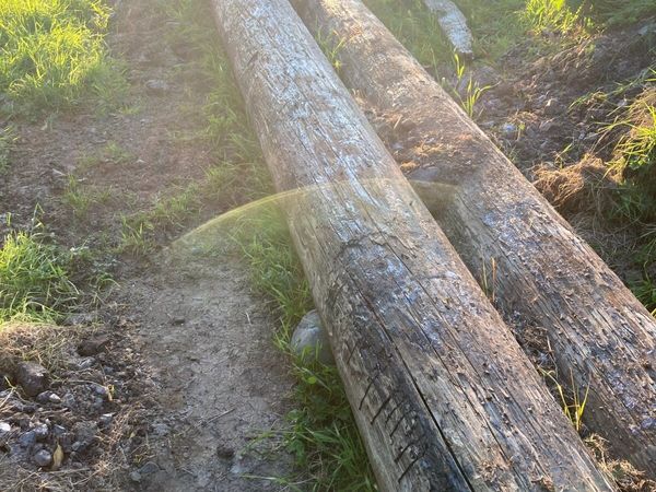 esb poles for sale | 128 All Sections Ads For Sale in Ireland | DoneDeal